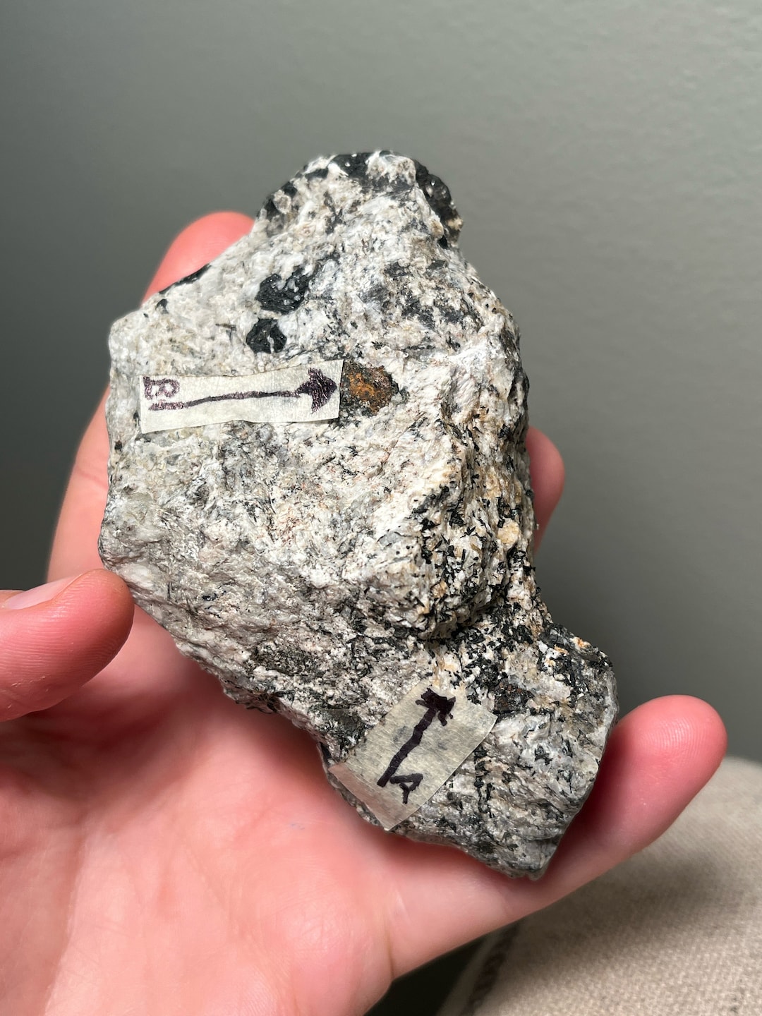 Neat Sample of Nepheline Syenite With Possible Eudyalite From Famous ...