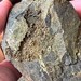 Large Basalt With Acicular Epidote Specimen From Montana - Etsy