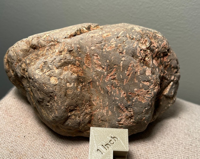 Large, Aesthetic Plagioclase-rich Porphyry - Etsy