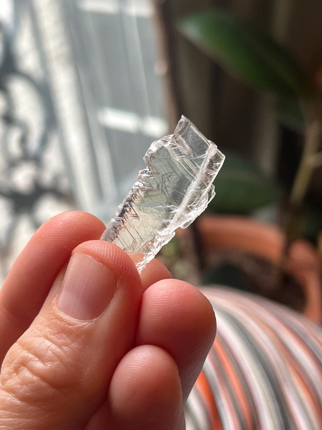 Gypsum Variety Selenite Sample From Utah! - Etsy