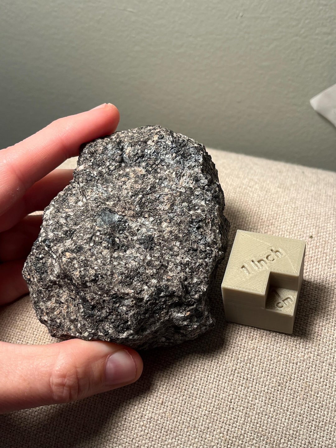 Welded Tuff (ignimbrite) With Neat Glassy Obsidian Zones From Nye ...