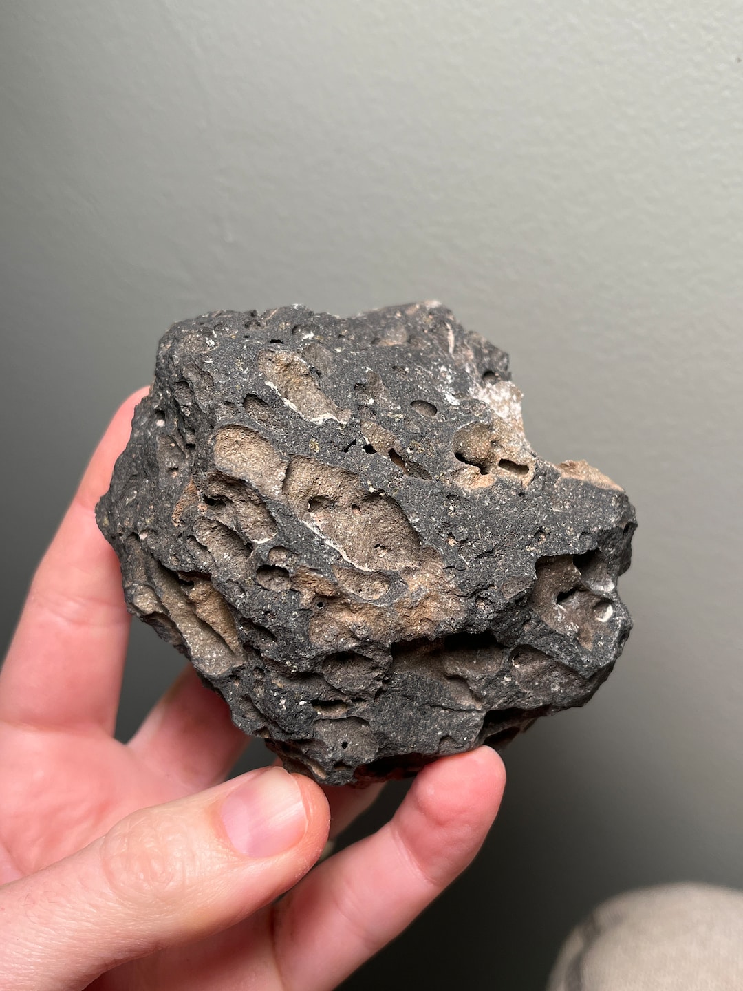Neat Vesicular Basalt lava Sample Hand-collected Near - Etsy