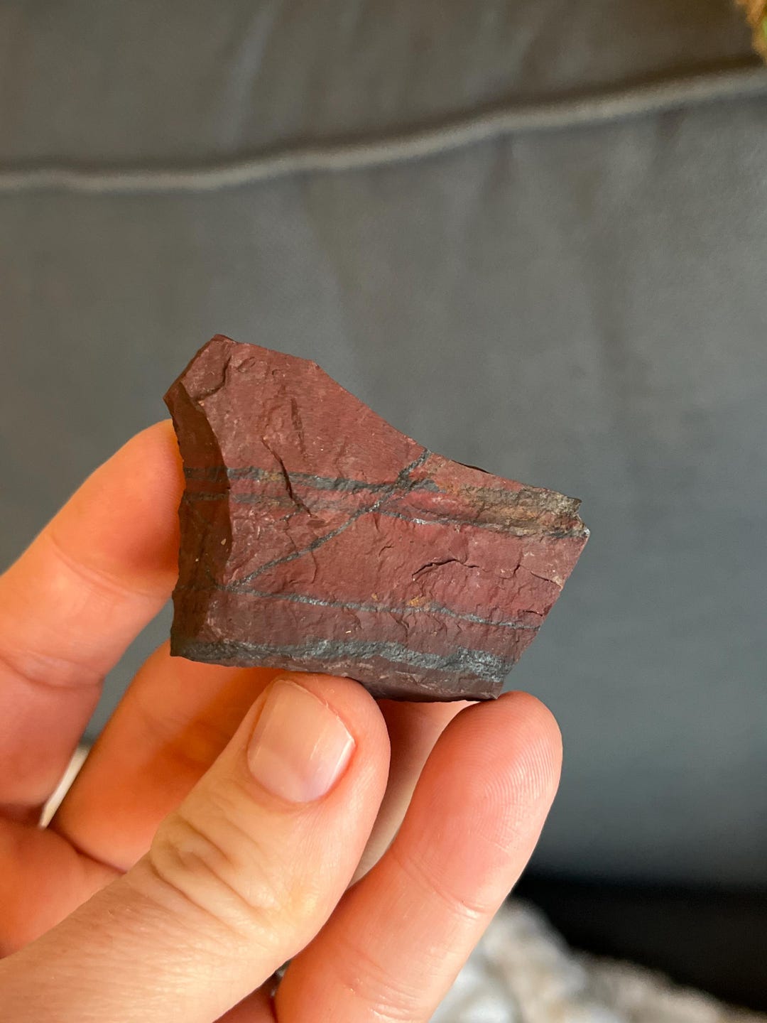 Classic Banded Iron Formation BIF From the Vermilion Iron Range in Ely ...