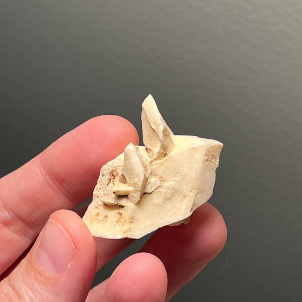 Minerals Pseudomorphs - Etsy
