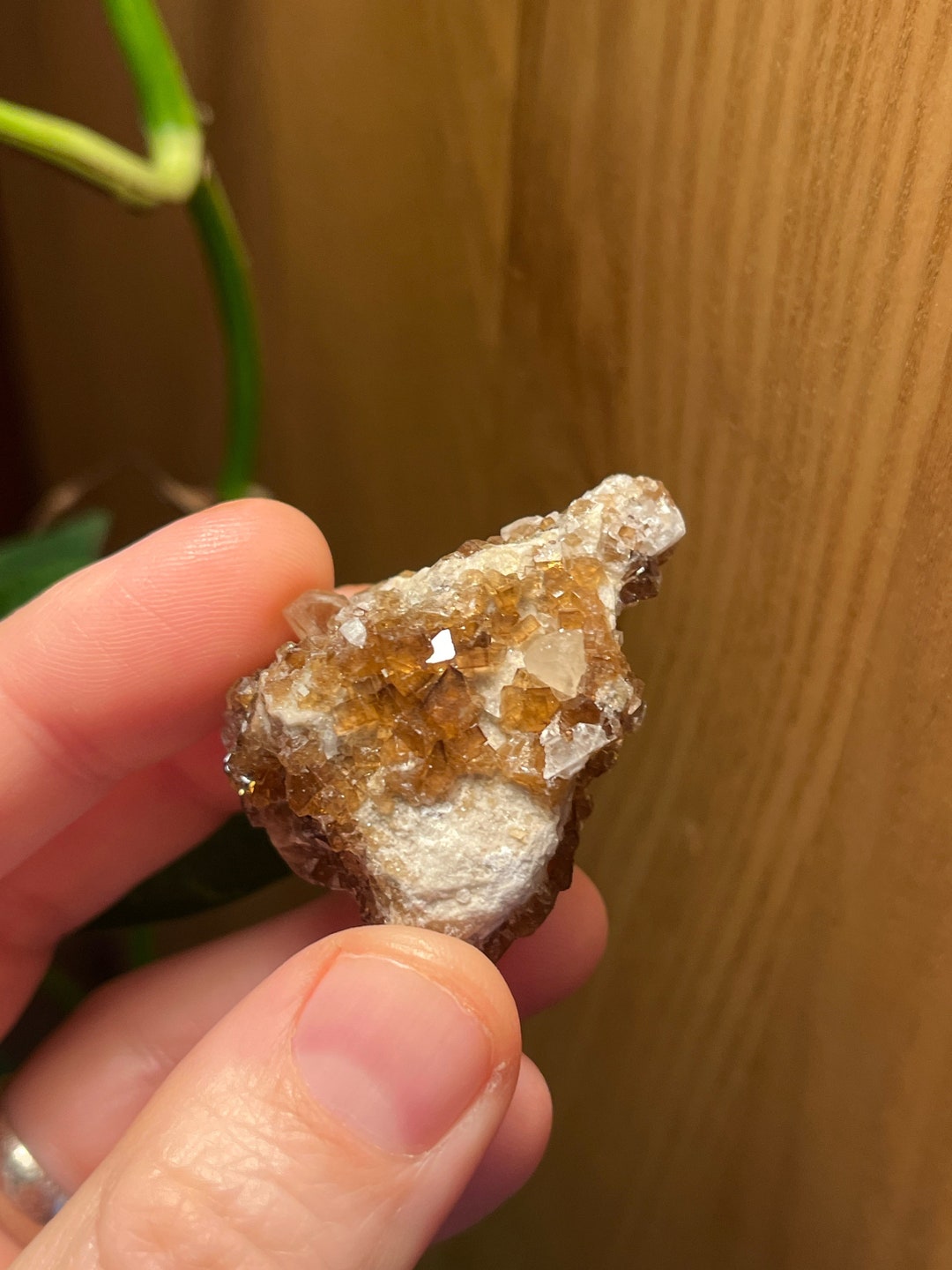 Classic root Beer Fluorite From Clay Center, Ohio. UV Reactive - Etsy