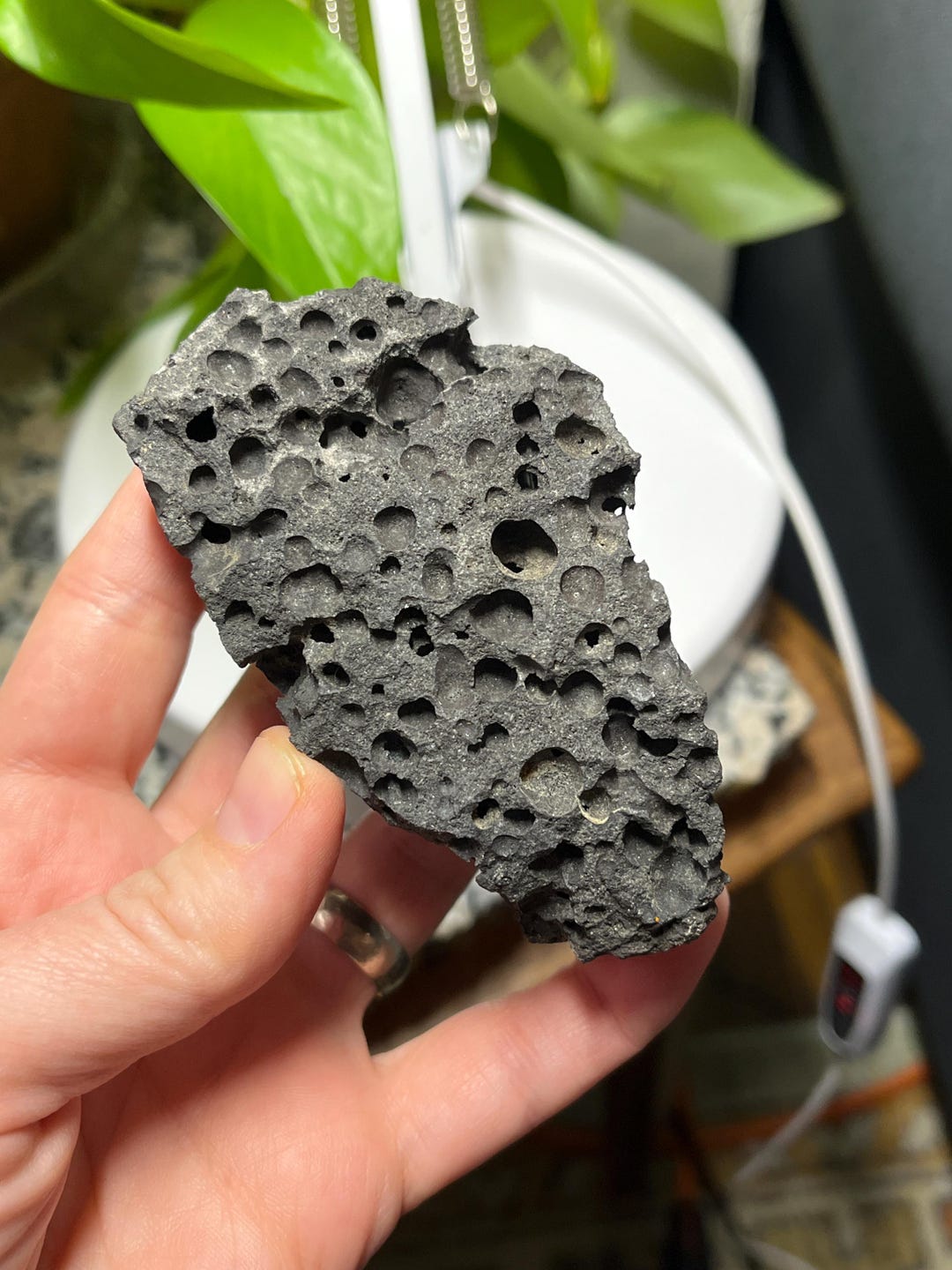 Fabulous Vesicular Basalt (lava) With Olivine Phenocrysts! - Etsy