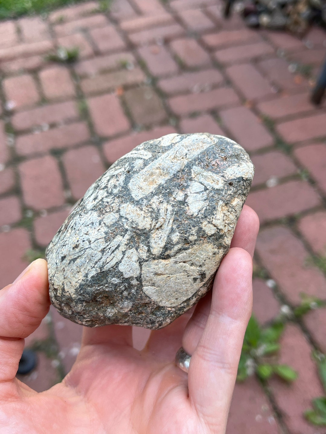 Large, Aesthetic Plagioclase-rich Porphyry With Beautiful Large ...