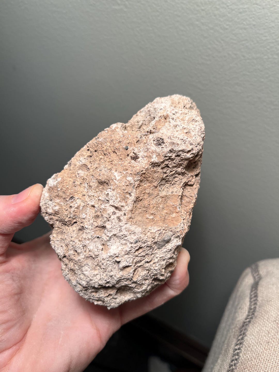 Beautiful Bandelier Tuff From New Mexico - Etsy