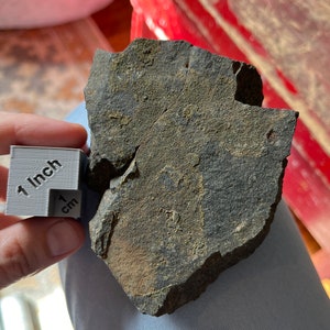 Large Basalt With Acicular Epidote Specimen From Montana - Etsy