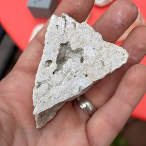 Calcium Carbonate Rock Variety Pack: Calcite Rhombs, Limestone, and ...