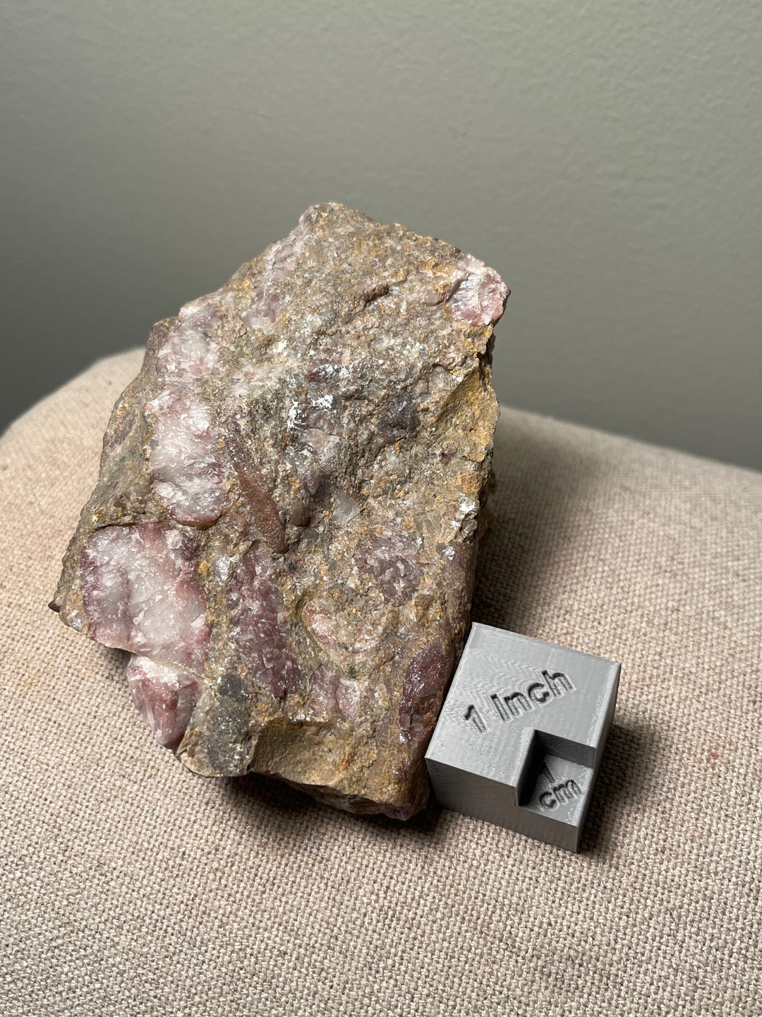 Beautiful Conglomerate With Quartzite Clasts From the Mid-atlantic! - Etsy