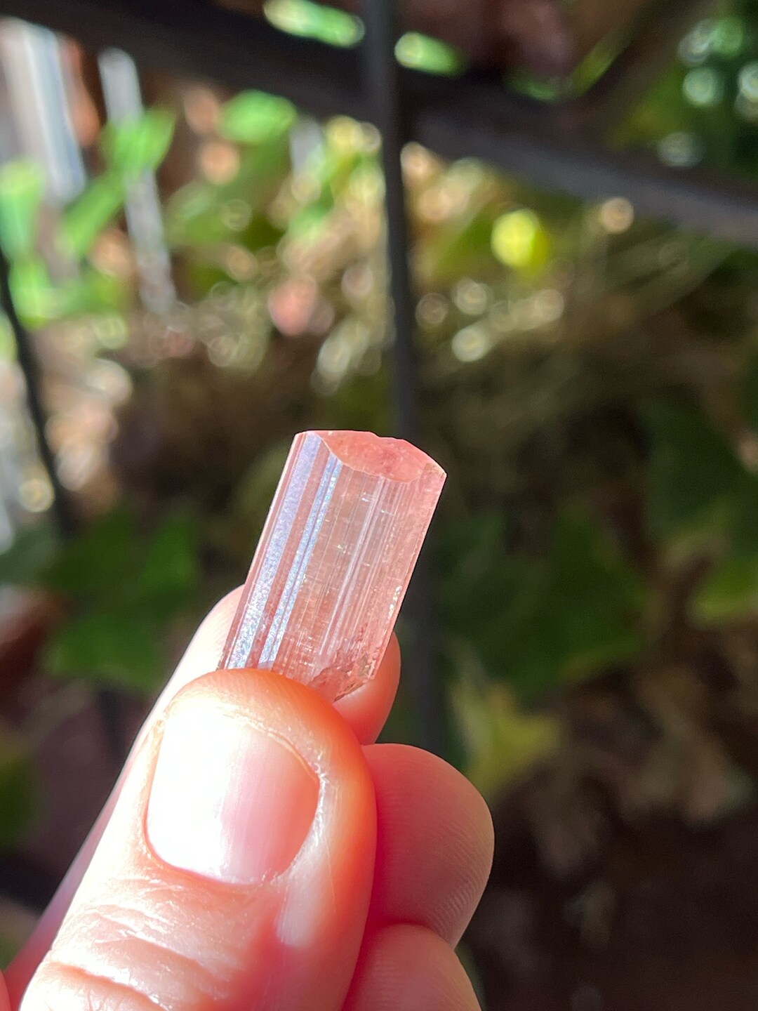Gorgeous Pink Gemmy Tourmaline (elbaite) From the Democratic Republic ...