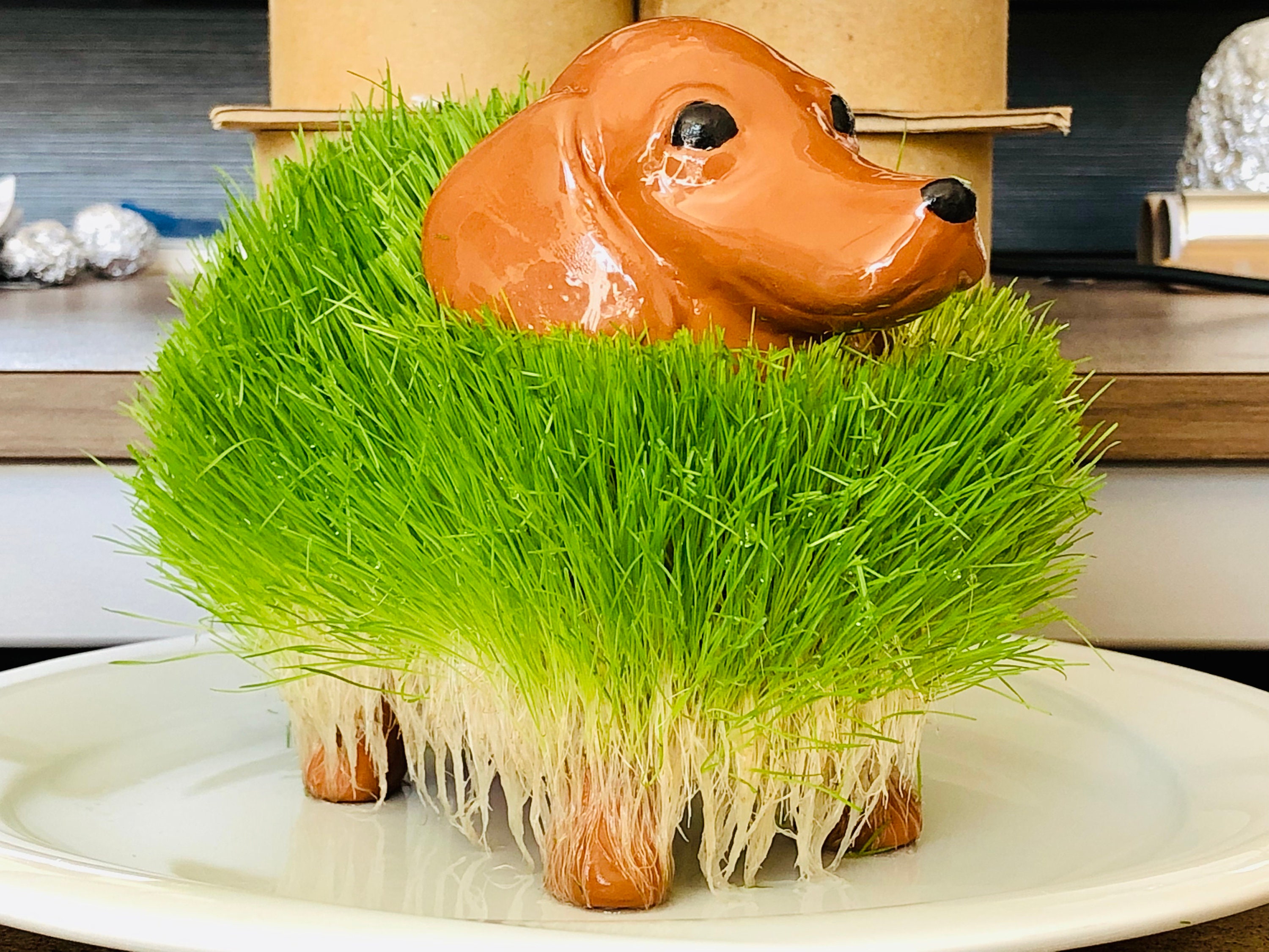 Puppy Planter Ceramic Hound Dog Handmade Grow Your Own Pet With Grass ...