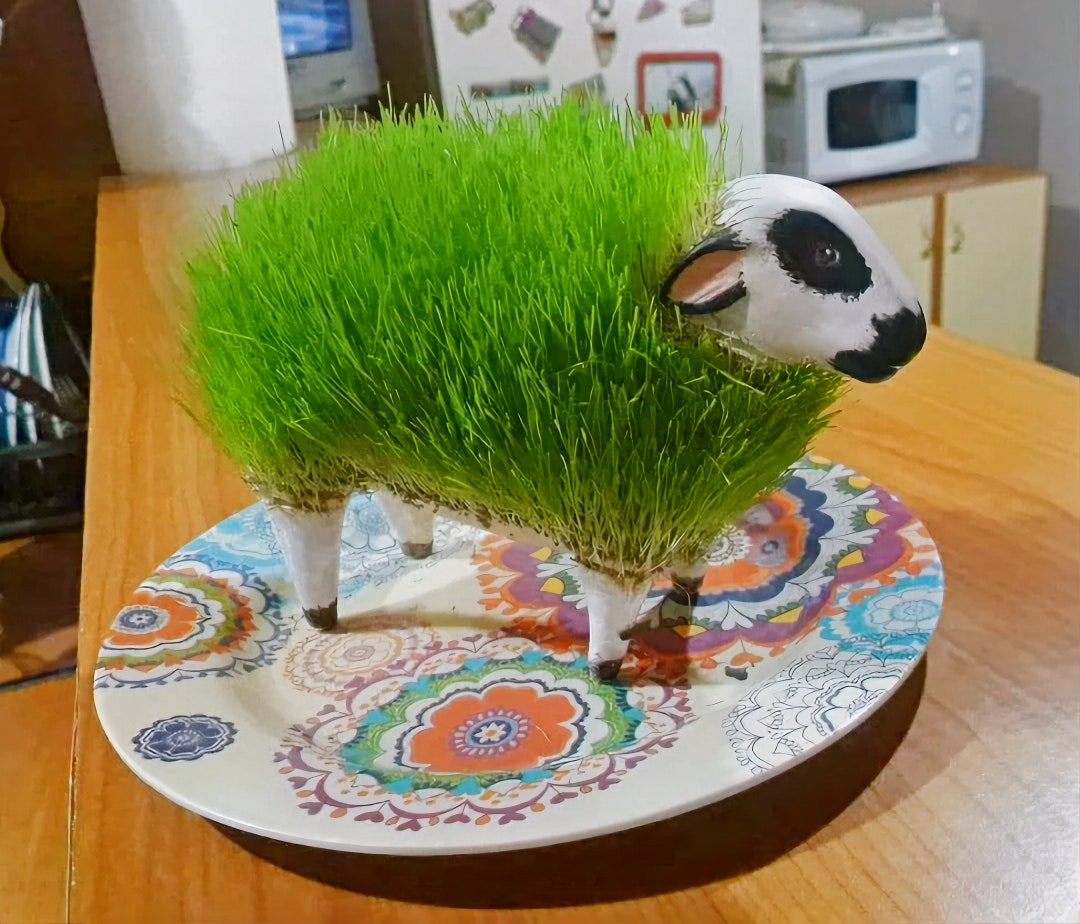 Ceramic Sheep Planter Grow Your Own Pet With Different Seeds, Great ...