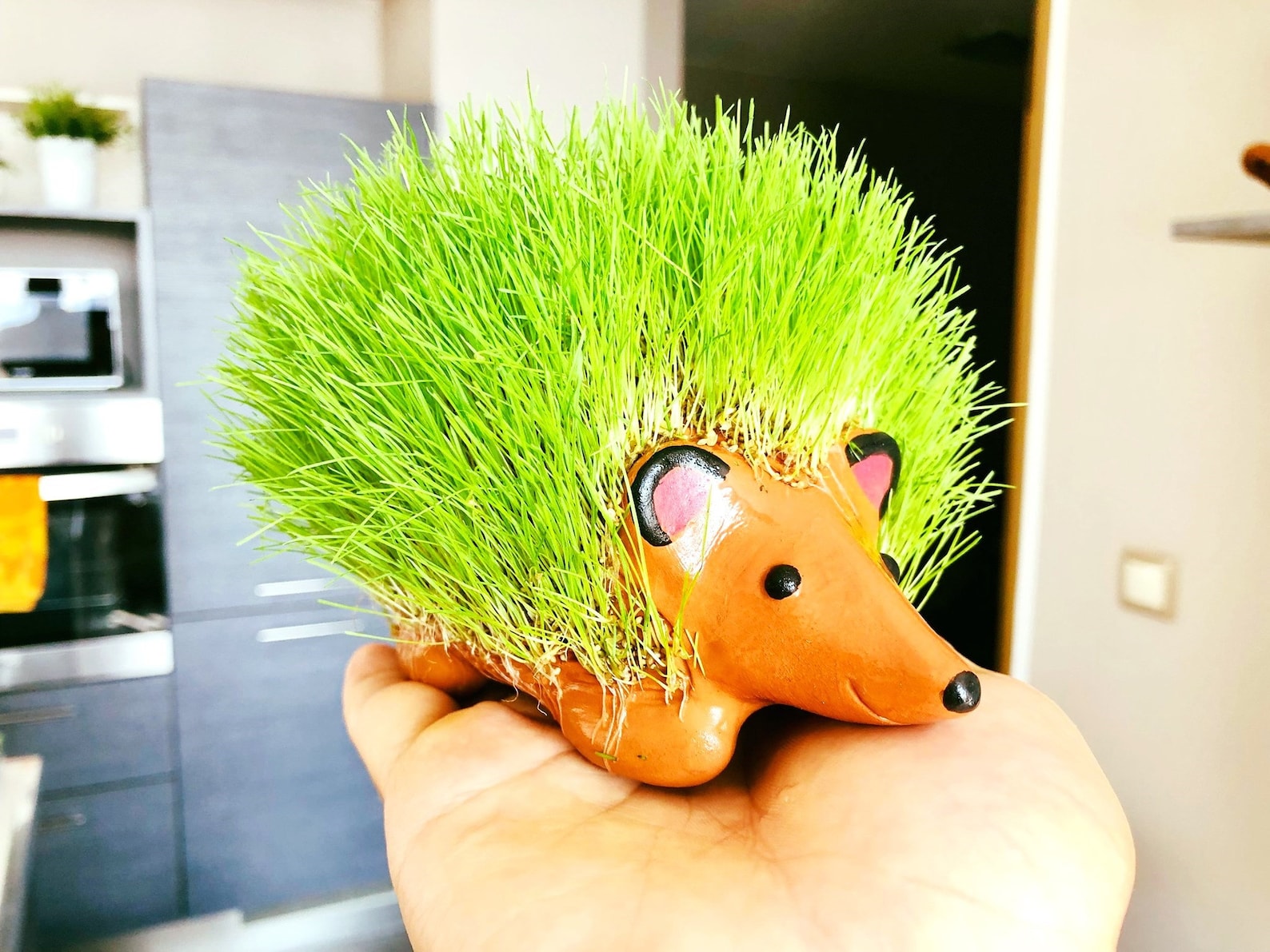 Hedgehog Planter Ceramic Handmade Cute Pottery Grow With Different ...