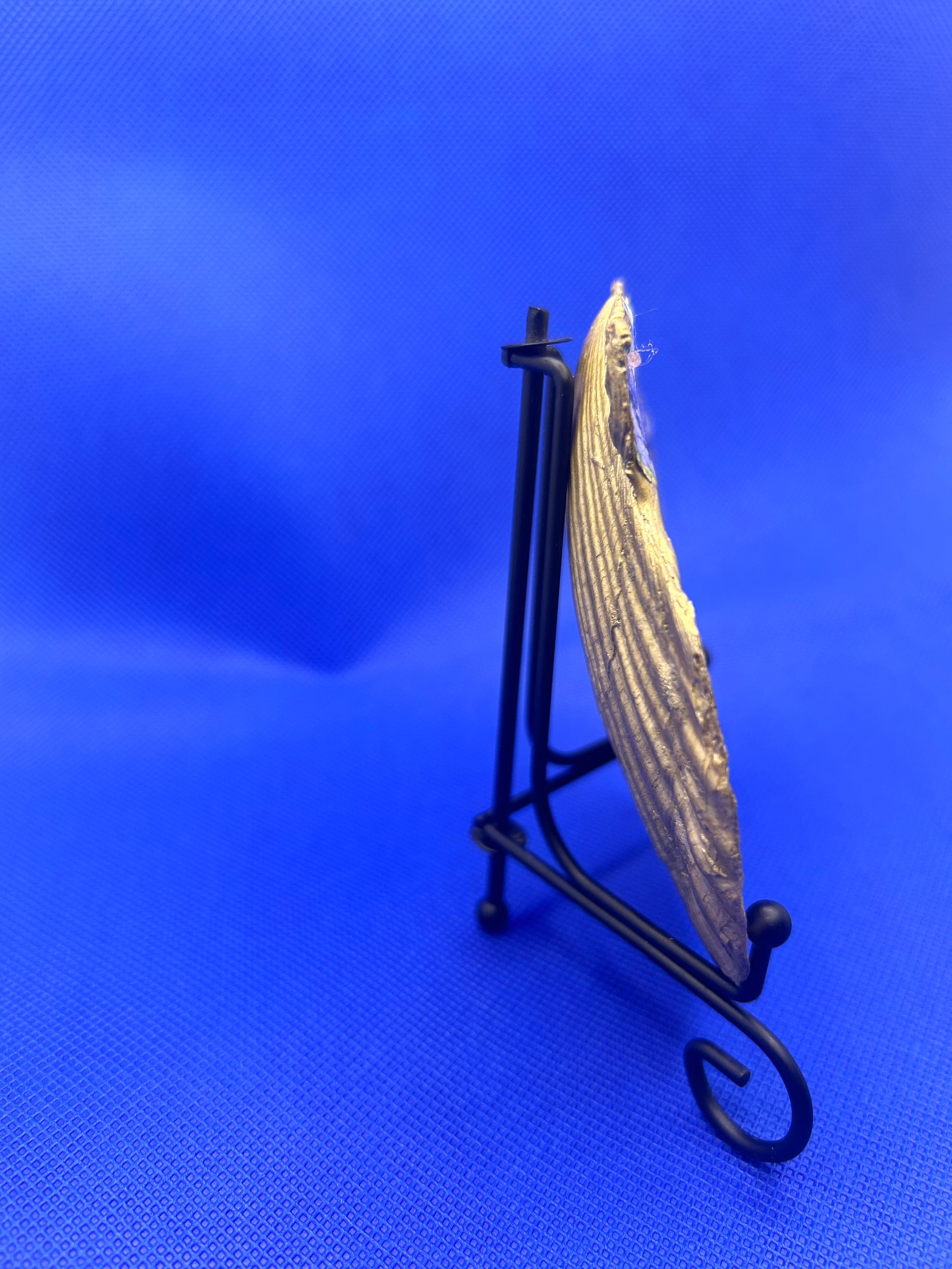 WHITE CAT Alphonso Mucha Art Hand Cut Collage Decoupage Scallop Shell ...