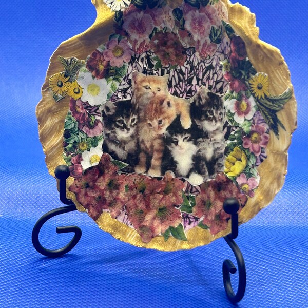 Scallop Shell Design - Etsy