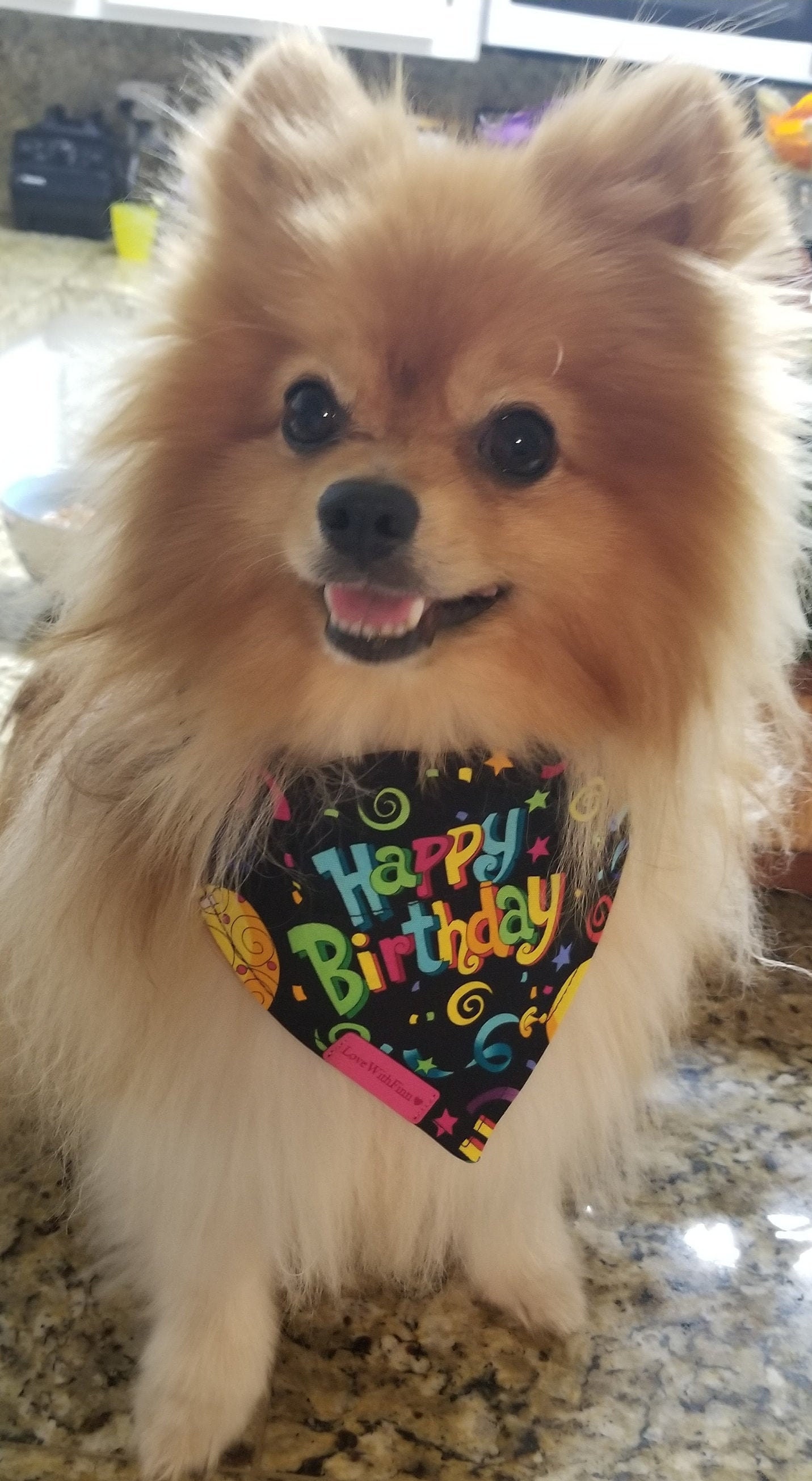 Happy Happy Birthday to Meeee!! - Etsy