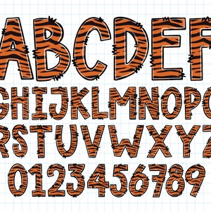 Animal Tiger Alphabet PNG, Tiger Alphabet Sublimation, Animal Print ...