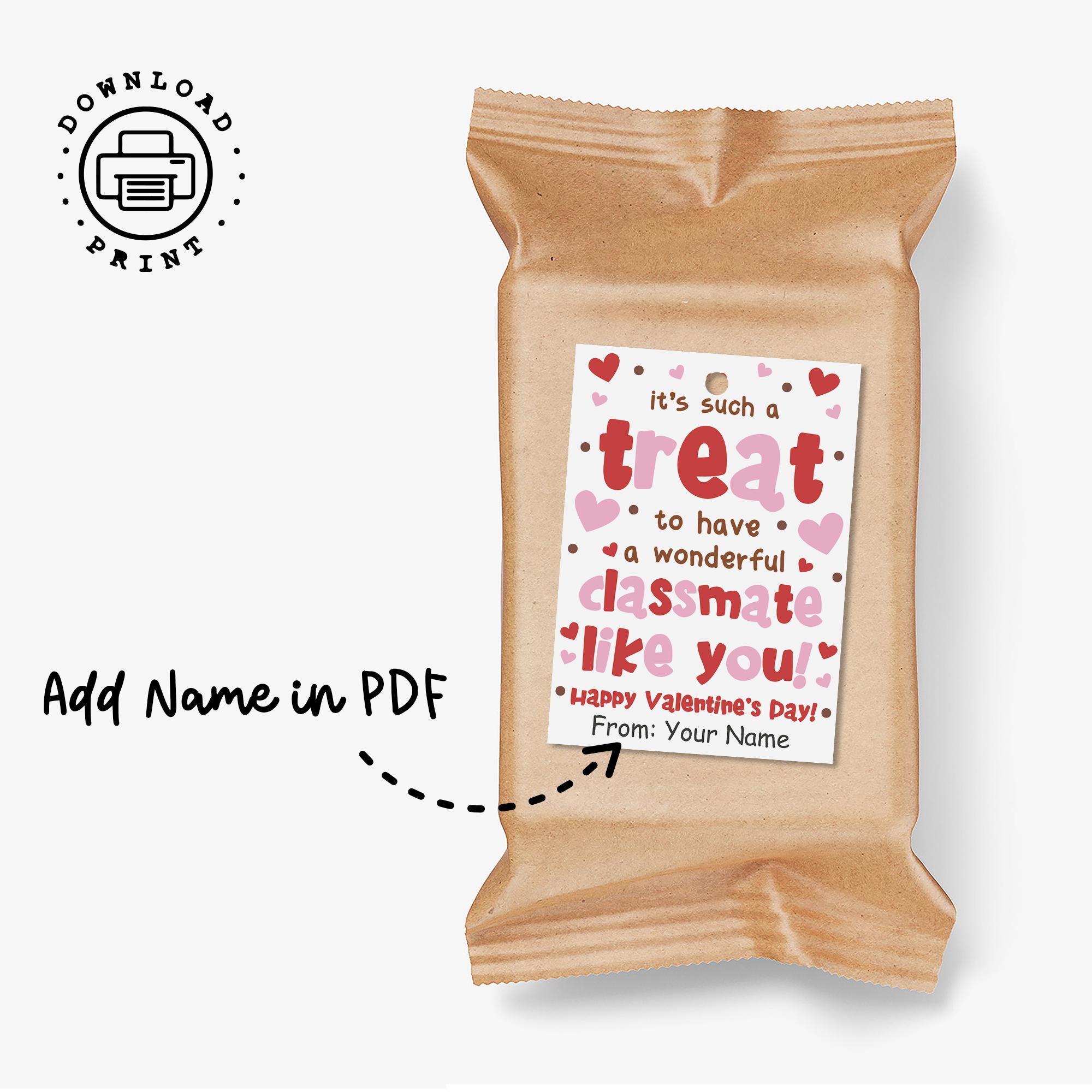 Editable Valentines Day Gift Tags, Classmate Valentine Treat Tags ...