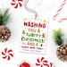 Washing You a Merry Christmas Tags Printable Soap Gift Label, Happy New ...