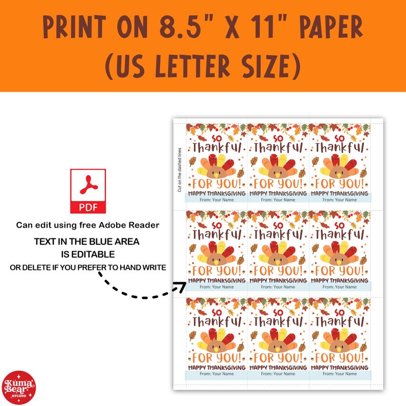 Thanksgiving Gift Tags, so Thankful for You Printable Tags, Cute Turkey ...