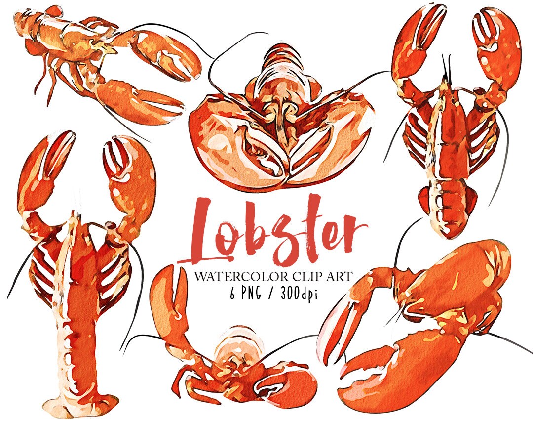 Watercolor Lobster Clip Art Seafood Clip Art Lobster Graphic Art Set ...