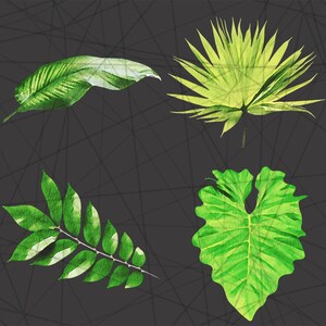 Tropical Palm Leaves Watercolor Clipart Jungle Greenery Floral - Etsy