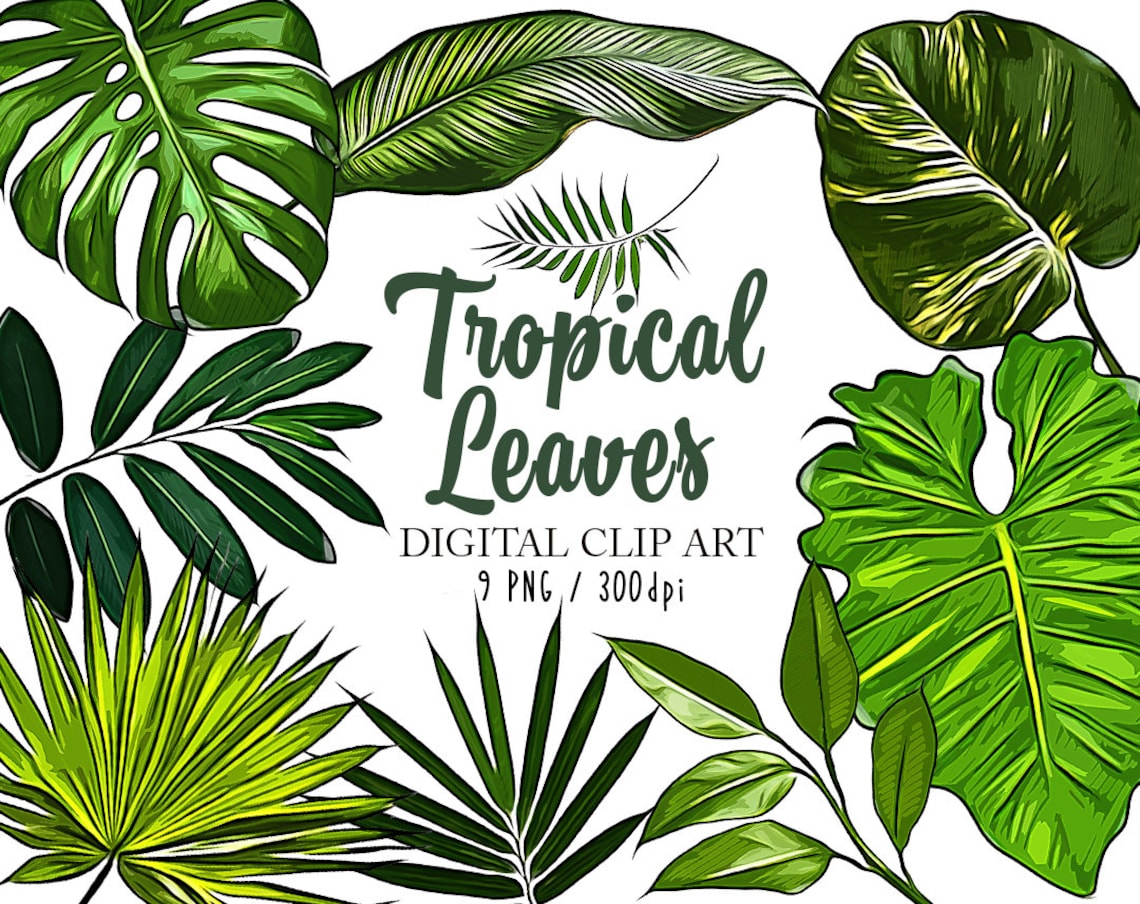 Tropical Leaf Clipart Set Bright Green Foliage Clip Art | Etsy