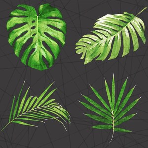 Tropical Palm Leaves Watercolor Clipart Jungle Greenery Floral - Etsy