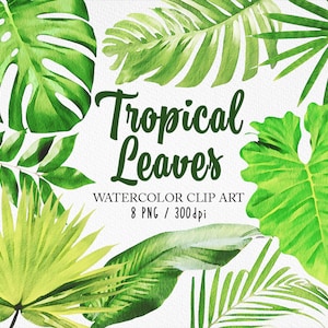 Tropical Palm Leaves Watercolor Clipart Jungle Greenery Floral - Etsy