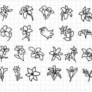 Floral Svg, Flower Svg, Hand Drawn Doodle Flower Clipart, Flowers ...