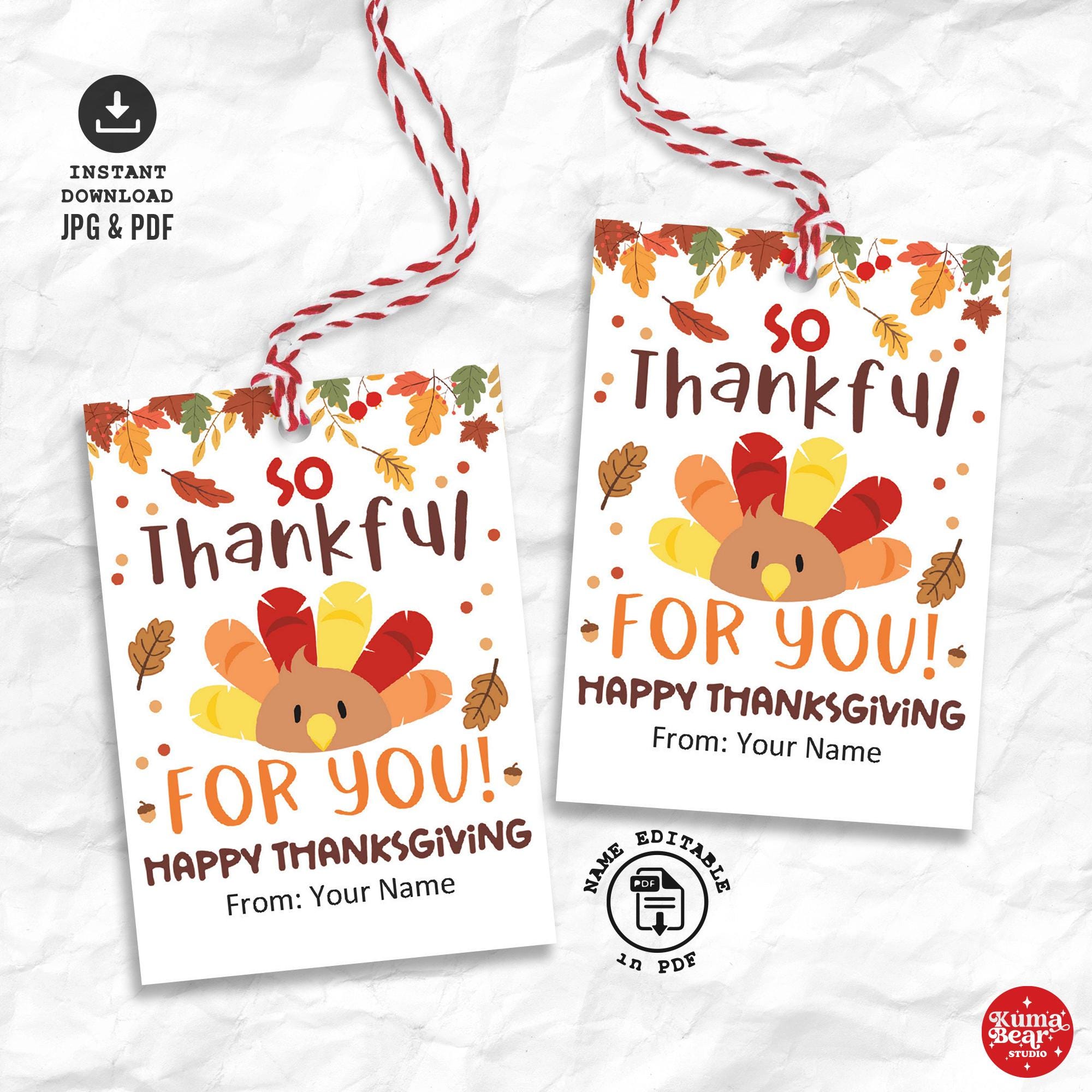 Thanksgiving Gift Tags, so Thankful for You Printable Tags, Cute Turkey ...