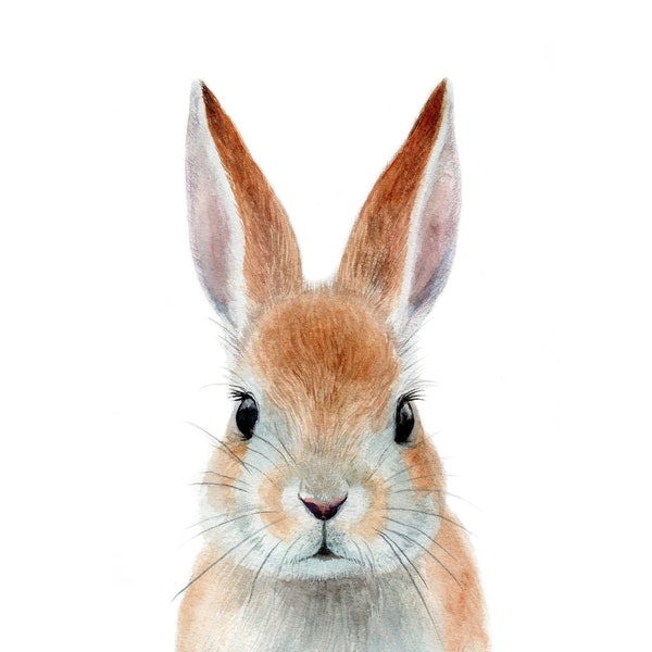 Rabbit Watercolor - Etsy