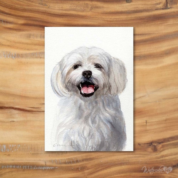 Maltese Painting - Etsy