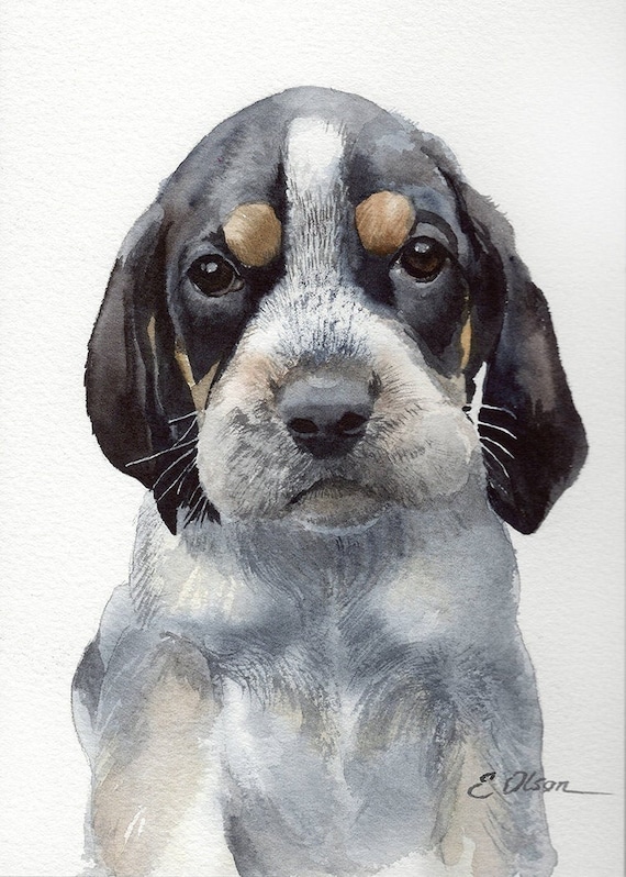 Bluetick Puppy