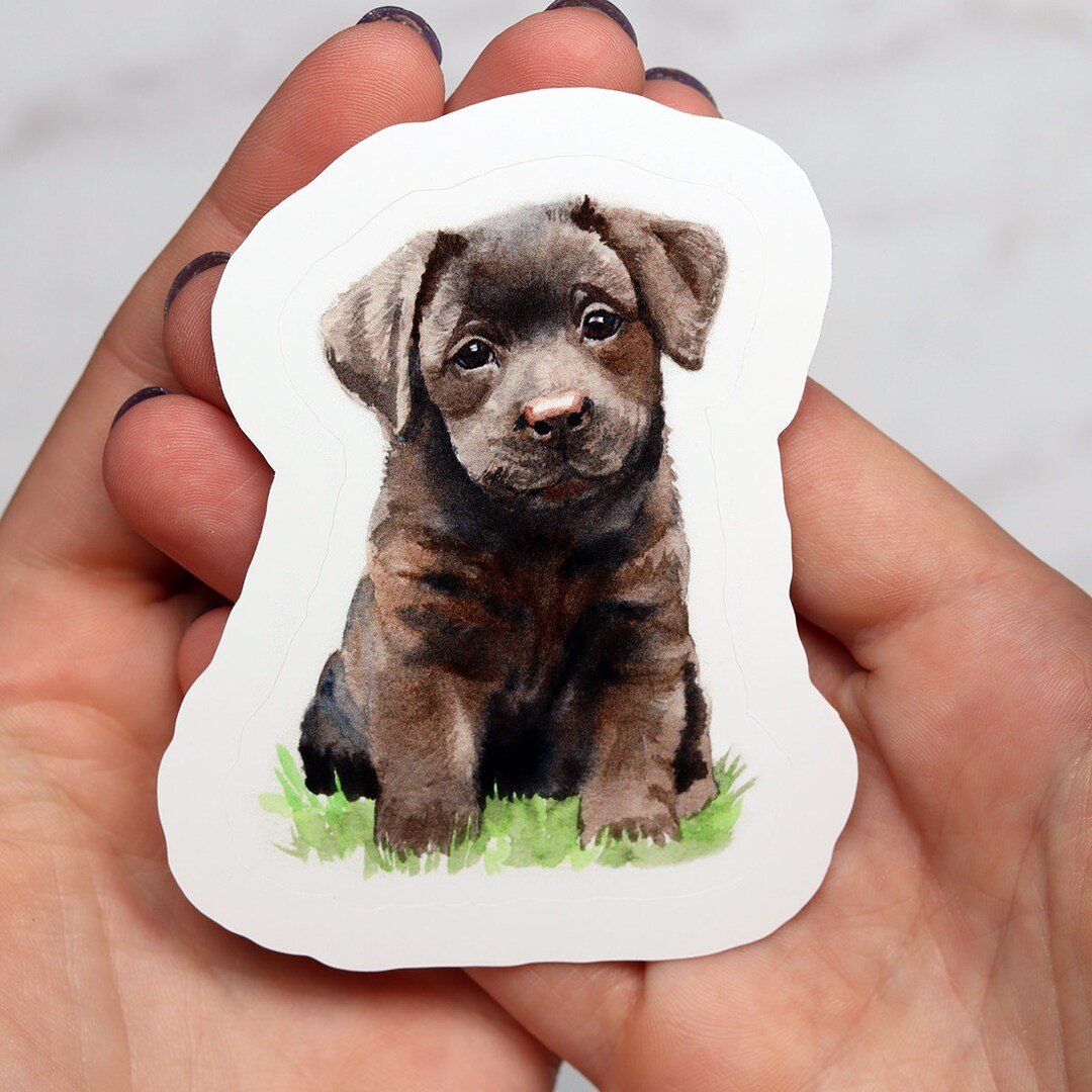 Cute Chocolate Labrador Puppy Watercolor Vinyl Sticker - for Water ...