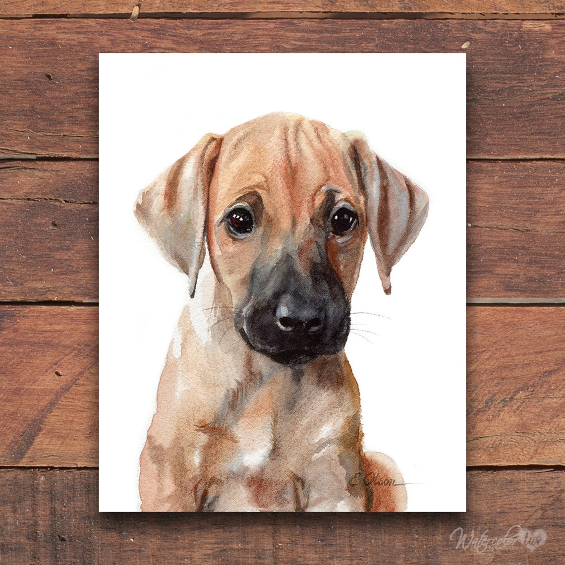 Rhodesian Ridgeback Puppy Prints Kids Room Dog Art Prints | Etsy