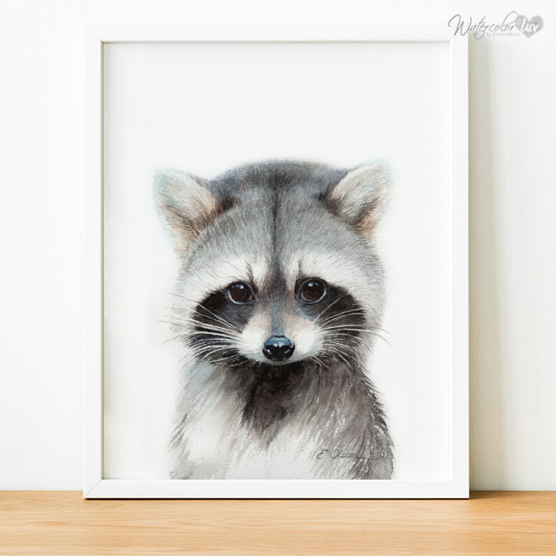 Baby Raccoon Art Gifts Watercolor Raccoon Art Prints Baby - Etsy
