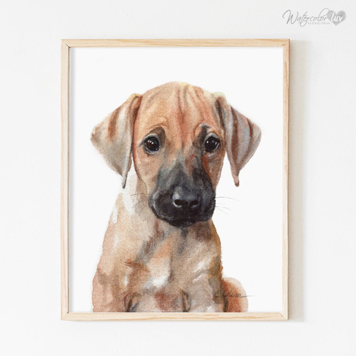 Rhodesian Ridgeback Puppy Prints Kids Room Dog Art Prints - Etsy