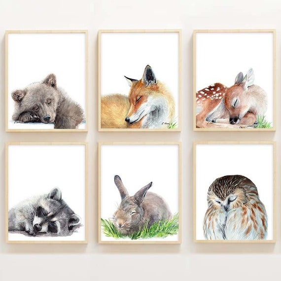 6 Sleeping Woodland Animal Prints Watercolor nursery wall | Etsy