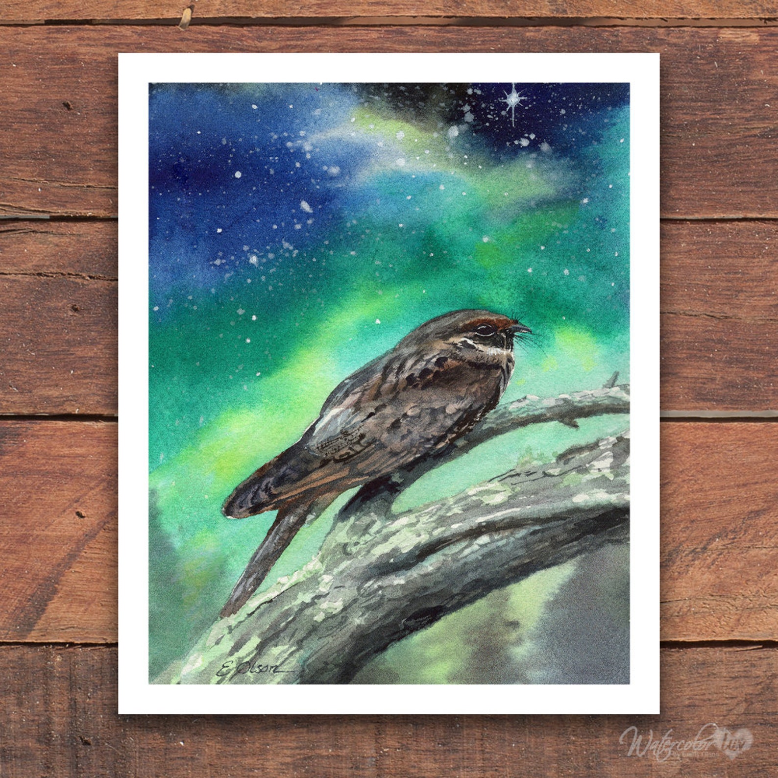 WATERCOLOR birds Art gift, Whippoorwill, Watercolor Galaxy prints, Bird ...