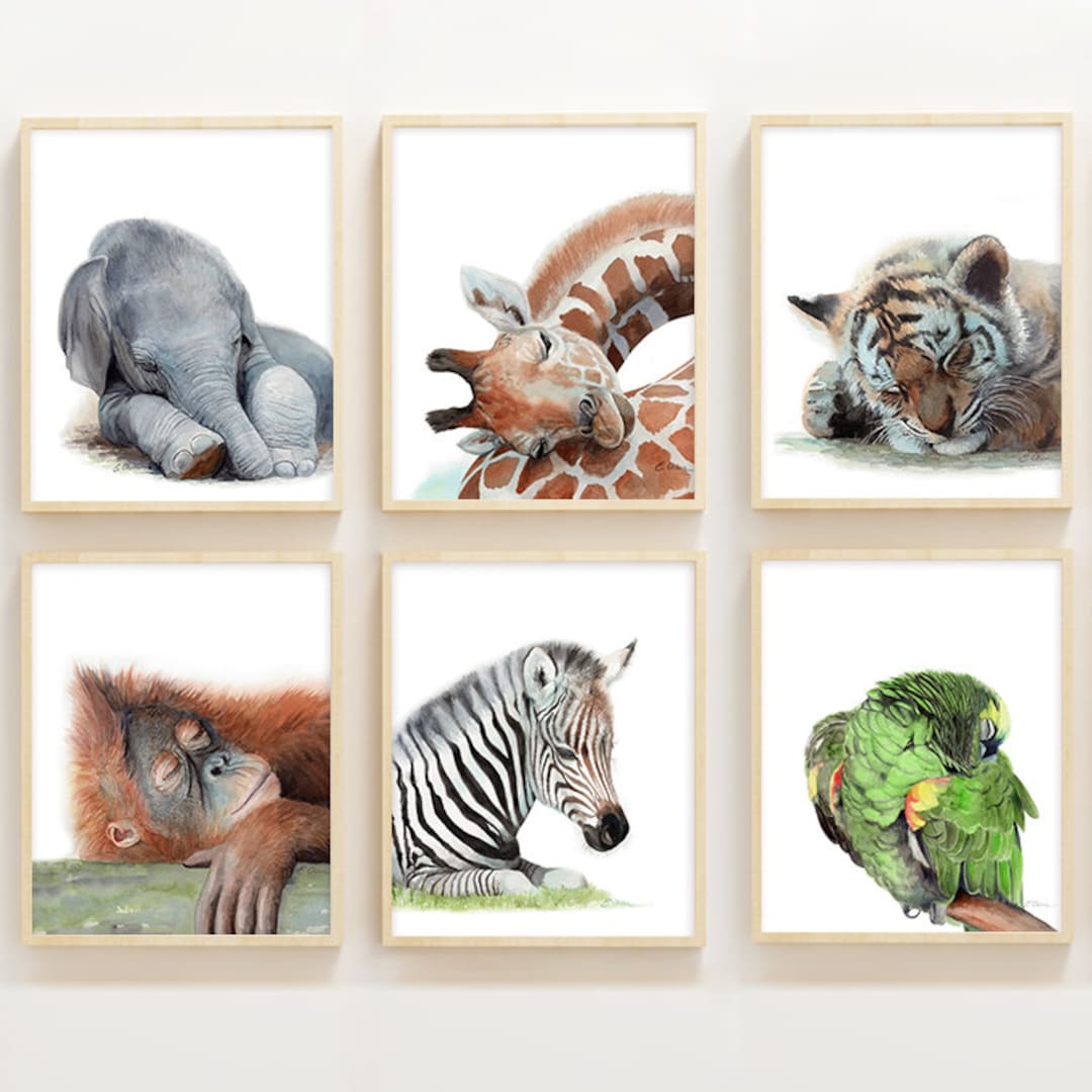 Watercolor Safari Animal PRINTS, Set of 6 High Quality Prints, Jungle ...