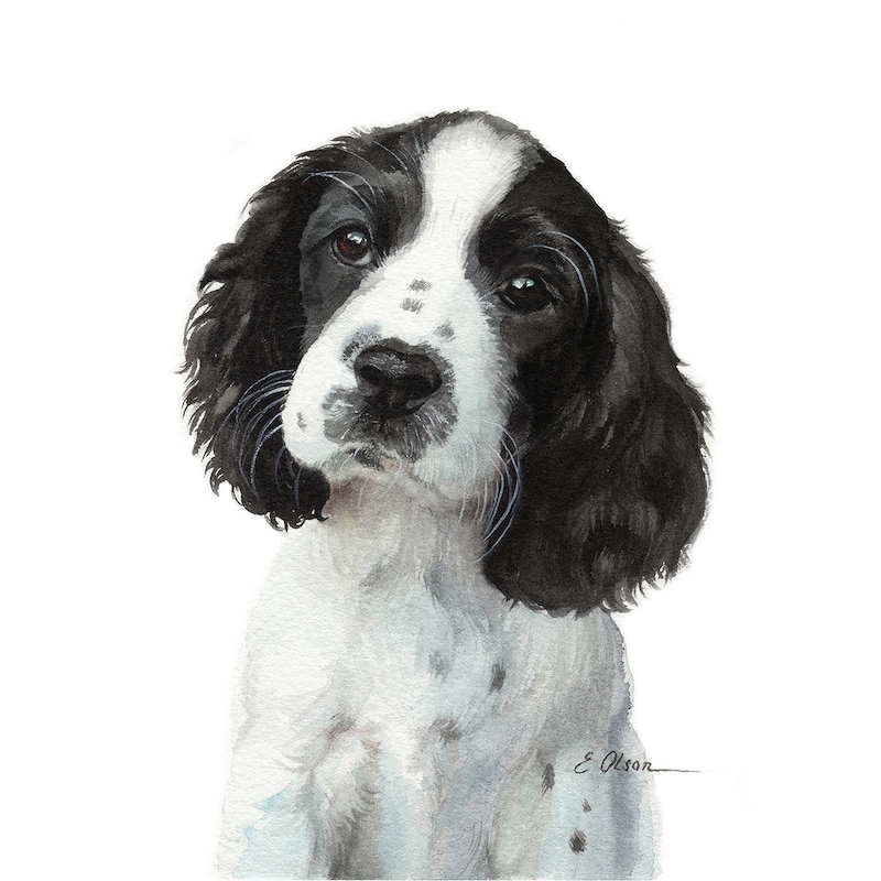 Springer Spaniel Art - Etsy