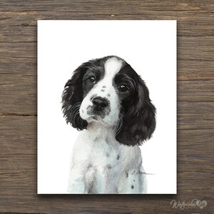 English Springer Spaniel Puppy Prints Black & White Springer - Etsy Canada
