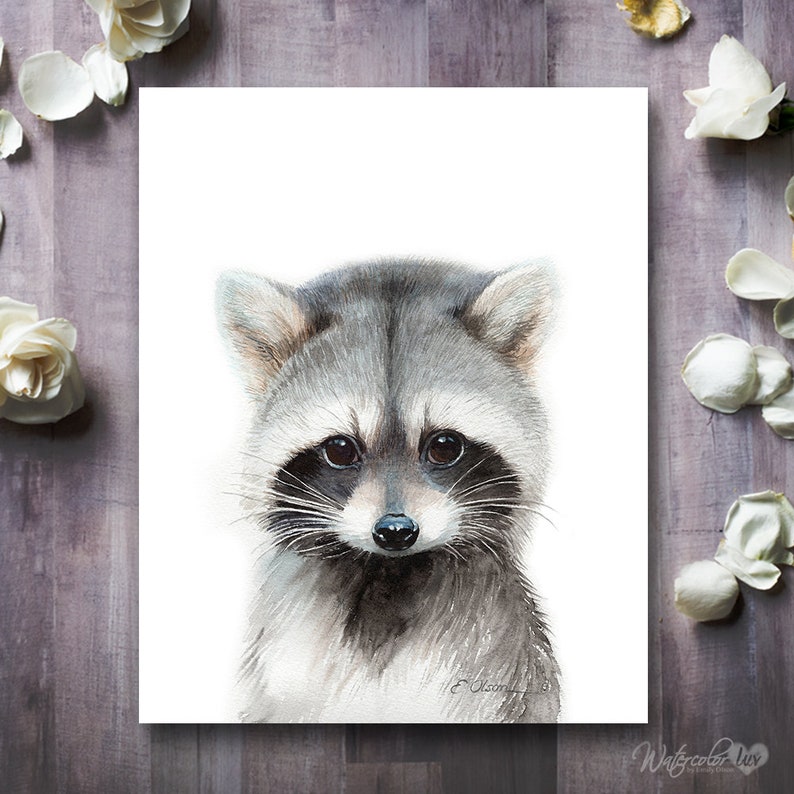 Baby Raccoon Art Gifts Watercolor Raccoon Art Prints Baby - Etsy