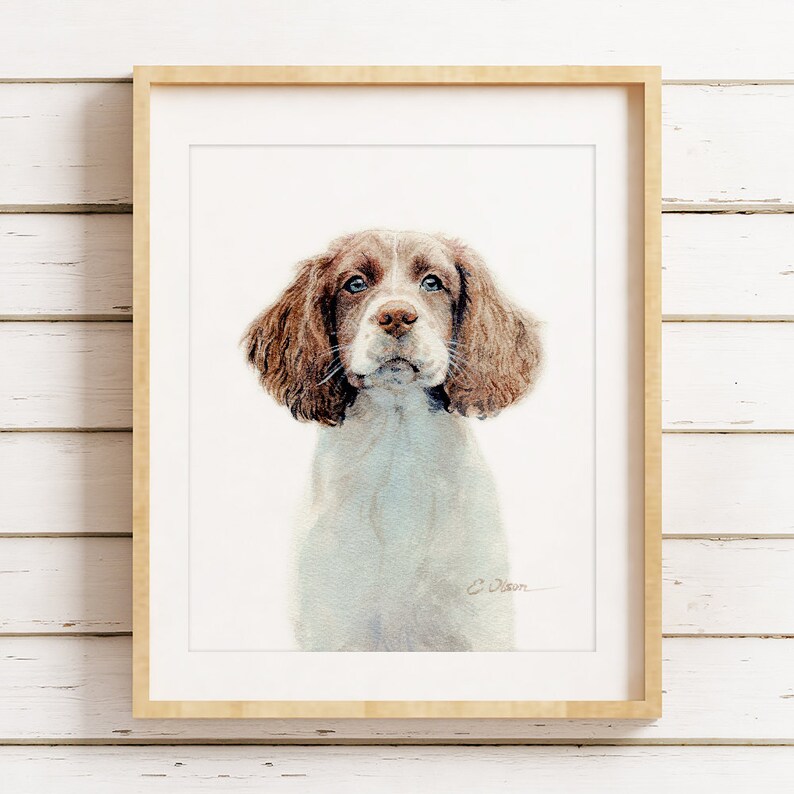 Watercolor Puppy English Springer Spaniel Puppy Prints - Etsy