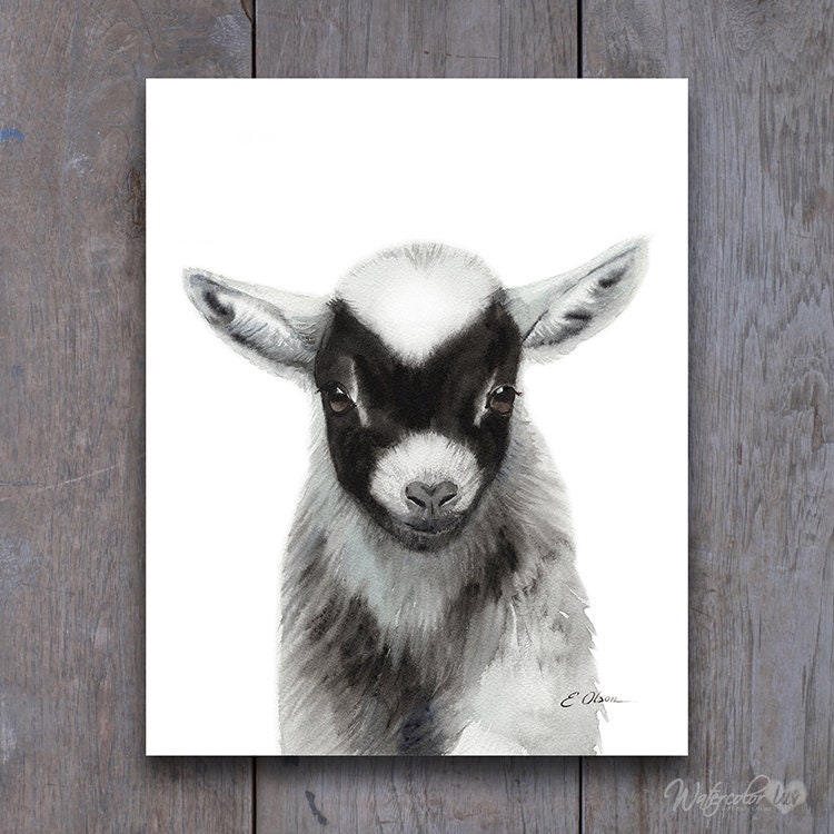 WATERCOLOR Baby Goat Baby Goat Nursery Wall Art Goat Kid - Etsy