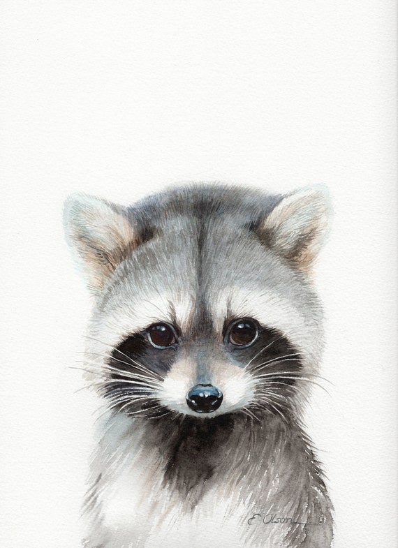 Cute Baby Raccoon Drawing