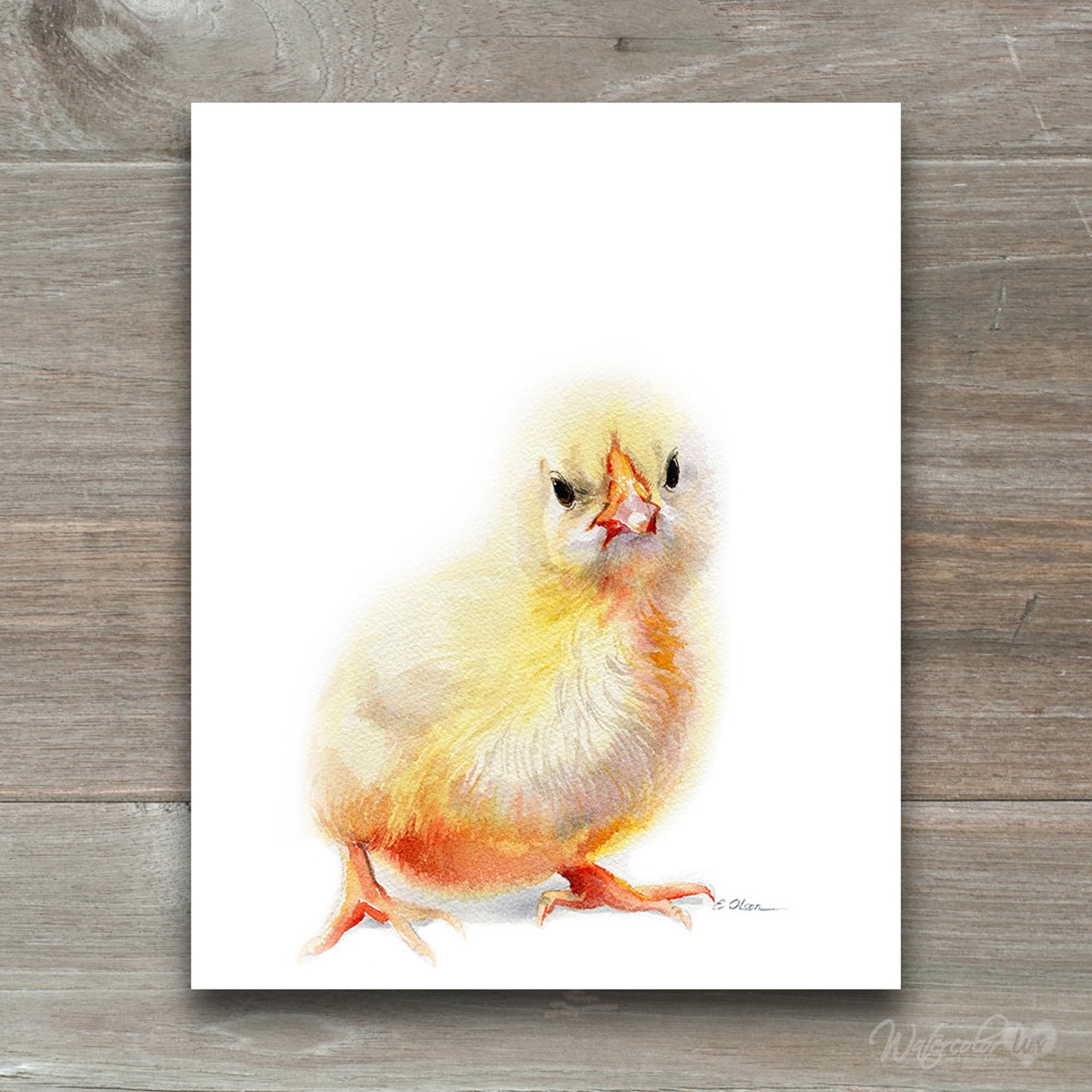 Chick Art Gift Baby Chicken Art Print Watercolor Baby Chick | Etsy
